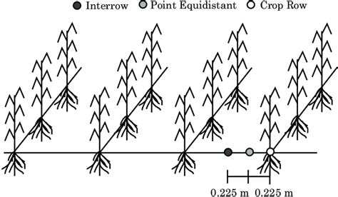 Schematic Representation Of The Transect And Sampling Positions Download Scientific Diagram