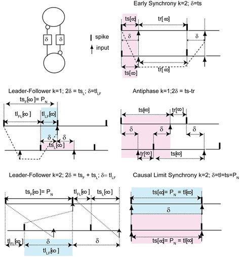 five generic modes in identical identically pulse coupled lif