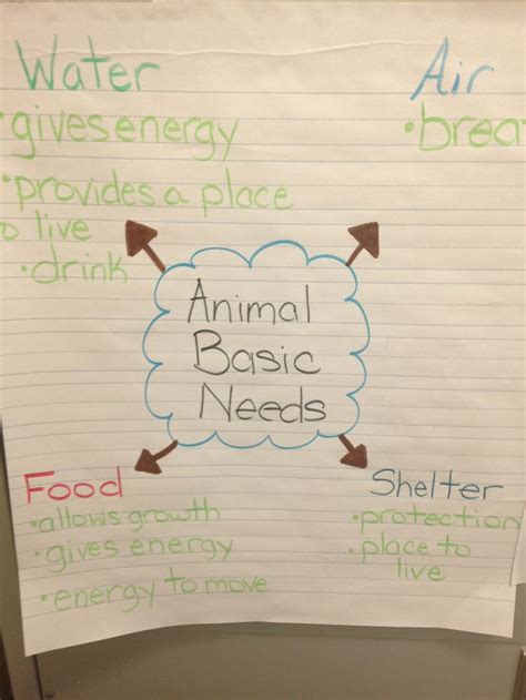 Basic Needs Of Living Things