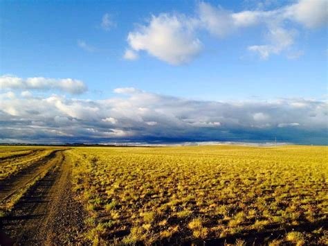 ӨМ Ханхонгор сумын Ахмадын хороо