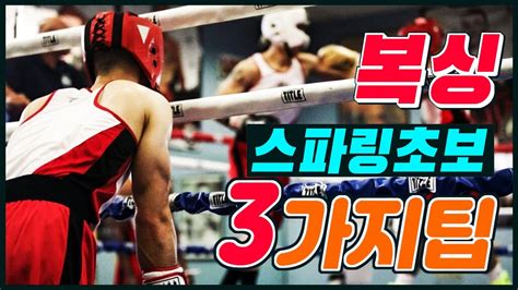복싱스파링 팁과 기술 초보자를 위한 스파링 깨알 팁 3가지 Youtube