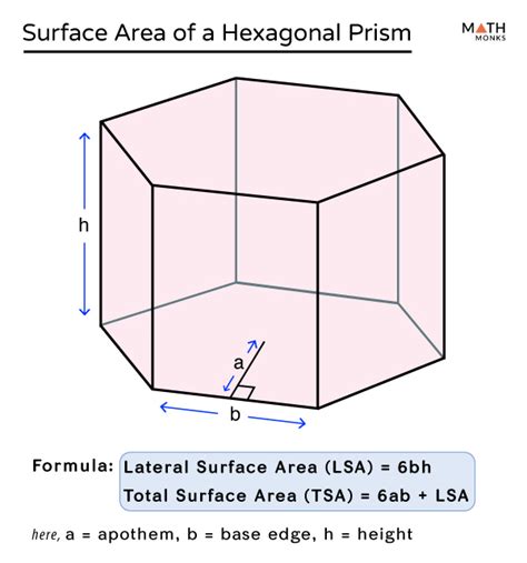 Surface Area For Hexagonal Prism At Viizariahblog Blog