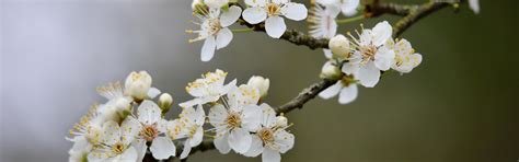 How To Write Great Release Notes That Users Love