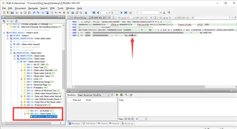 基于java hapi包的hl7消息接收与解析 灰信网（软件开发博客聚合）