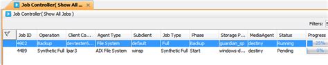 backup solaris file system
