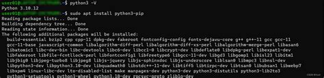 通过vscode的远程连接 Wsl，配置linux平台python开发环境vscode Wsl Csdn博客