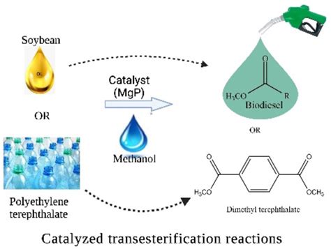 Catalyst Examples