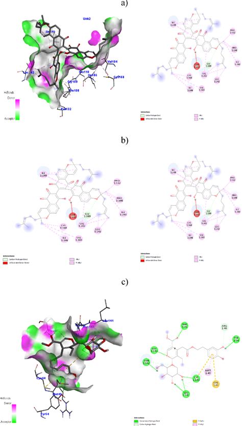 Figure 2 From Analysis Of Conocurvone Ganoderic Acid A And Oleuropein Molecules Against The