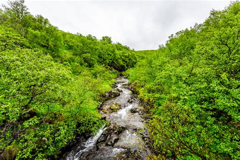 강 근처 Hundafoss 폭포 스카프 타 펠의 하이 앵글 조감도 아이슬란드 물 절벽에 녹색 여름 바위 풍경 와이드 앵글 젖은에 대한 스톡 사진 및 기타 이미지 Istock