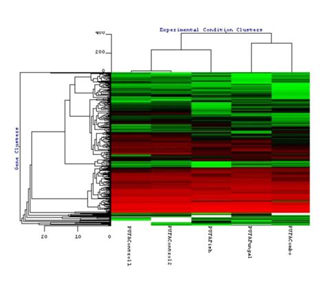 Hierarchical Clustering Of Significant Probes Left Probe Clusters Download Scientific