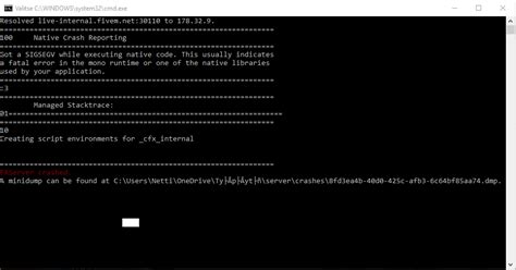 FXServer Crashed Server Discussion Cfx Re Community
