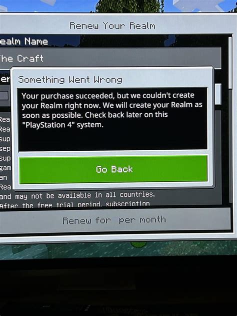 Cannot Get Back My Realm Rminecraft