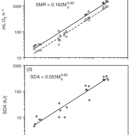 A Allometric Scaling Of Standard Metabolic Rate Smr And Postfeeding Download Scientific