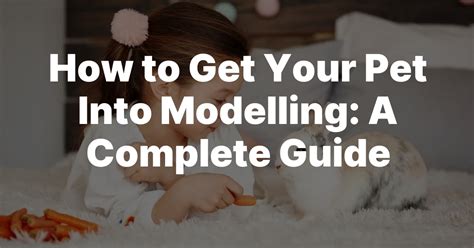 How to Get Your Pet Into Modelling: A Complete Guide – Models Direct
