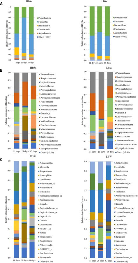 BEST Picrust2 Output