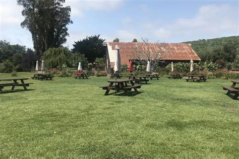 20 Best Things To Do In Cambria Ca For 2024