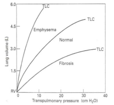 Pulmonary Function Tests Flashcards Quizlet