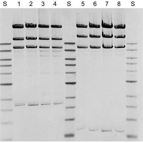 Map Of The Mobilization Helper Plasmid Pta Mob With Relevant Regions