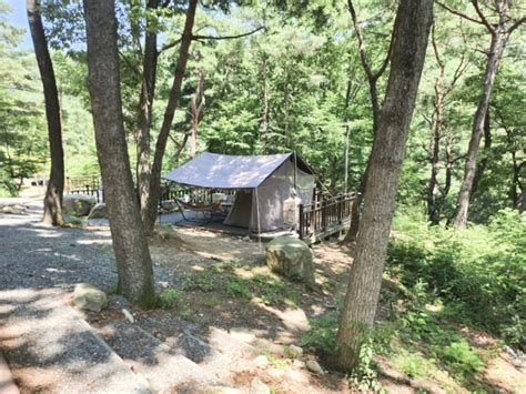 울산 작천정 별빛야영장 숲속캠핑 힐링 그잡채 네이버 블로그