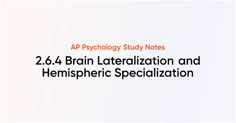 2 6 4 Brain Lateralization And Hemispheric Specialization Ap Psychology Notes Tutorchase