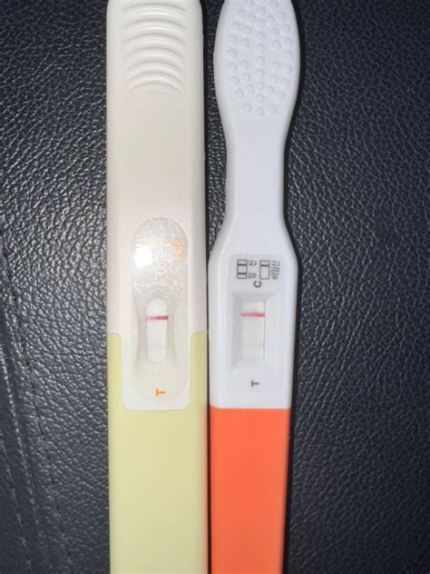 임신테스트기 두 줄이었다가 한 줄 지식in