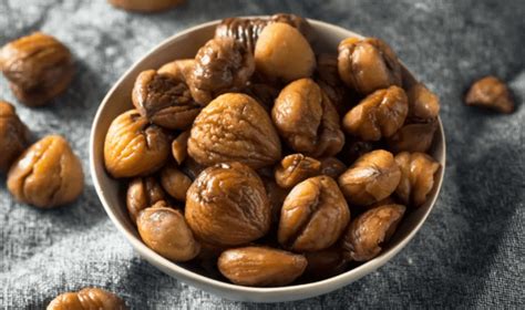 Which Word Signals A Nonrestrictive Clause In A Complex Sentencethatwhichwhileyet Ultimate