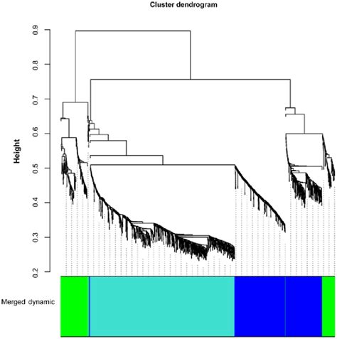 Dendrogram For Identifying Gene Clusters For The Merged Differentially
