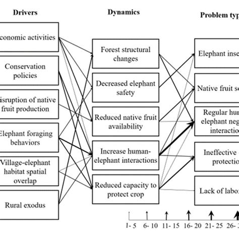 Conceptual Framework Showing How All Respondents Linked The Landscape Download Scientific