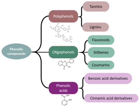 Confronting Secondary Metabolites With Water Uptake And Transport In