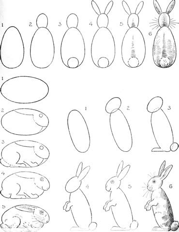 How To Draw Rabbits Easy Step By Step Instruction Free Printable Puzzle Games