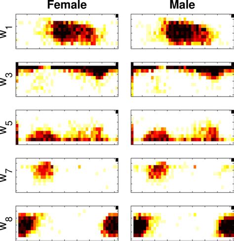 language 12 s subpopulation term maps for gender separated data each