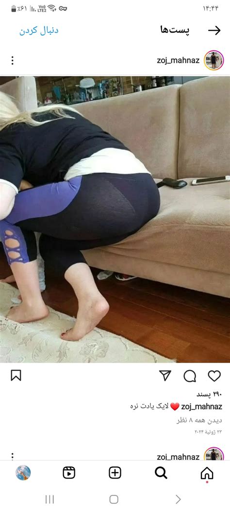 شکاریمهساعکس