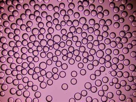 Nanodet Object Detection Dataset By Ustc