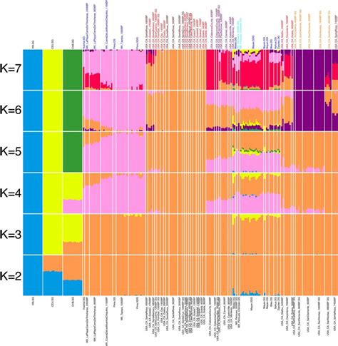 Admixture Plot At Different K Values Purplecentral California Download Scientific Diagram