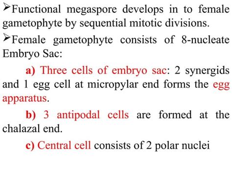 Structure Of Ovule Ppt Ovule Is Female Reproducgive Cell Ppt