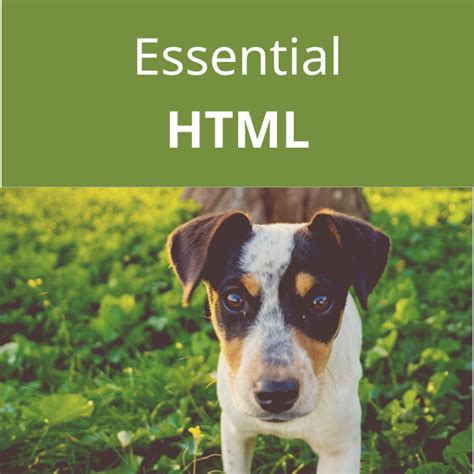 Essential Html A Free Html Programming Book