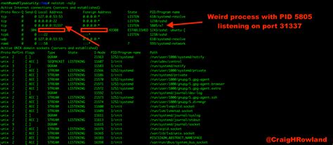 How To Basic Linux Malware Process Forensics For Incident Responders Apnic Blog