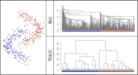 논문 리뷰 Tree Guided L1 Convex Clustering
