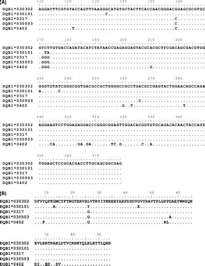 alignment of exon 2 sequence of hla dqb1 0317 with sequences