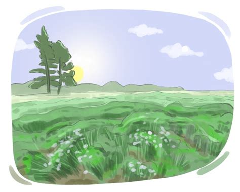 Definition And Meaning Of Meadow Langeek