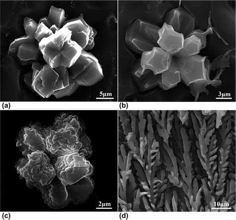 3d Morphologies Of I Phase Particles In Directionally Solidified Download Scientific Diagram