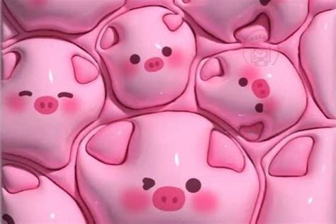 عکس های قشنگ ~ تستچی