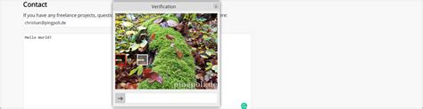 Creating A Slider Captcha To Eliminate Spam Pingpolide