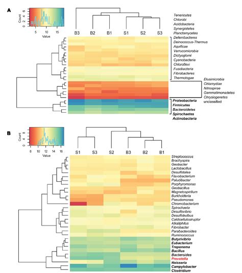 Figure 1 From Metatranscriptome Sequencing Reveals Insights Into The