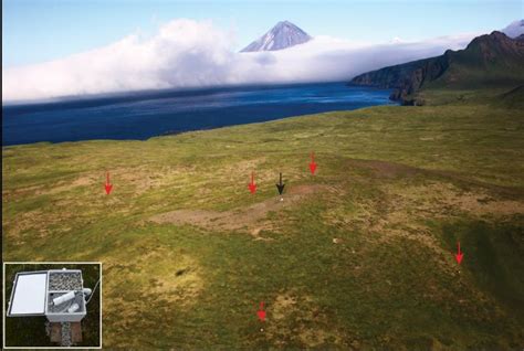 aerial photo of an infrasound array deployed near cleveland volcano