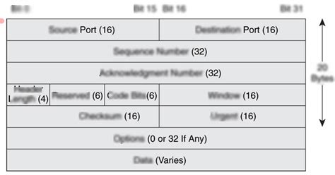 Tcp Header Diagram Quizlet