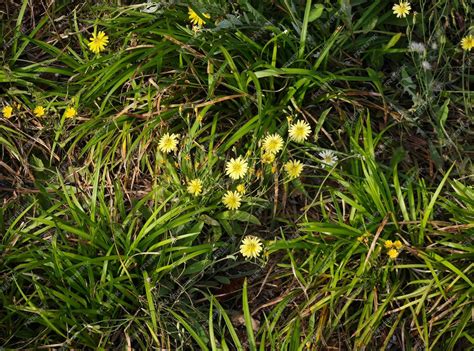 Premium Photo Outdoor Concept Architectural Visualization 3d Rendering Architecture