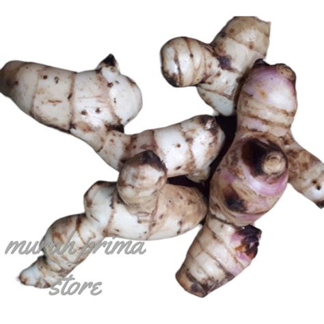 Jual Ganyong Umbi Putih Segar Makanan Sehat Khas Gunung Muria Bersih 1