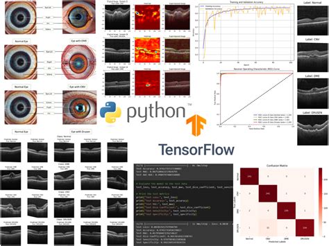 Custom Machine Learning Solutions From Data To Deployment Freelancer