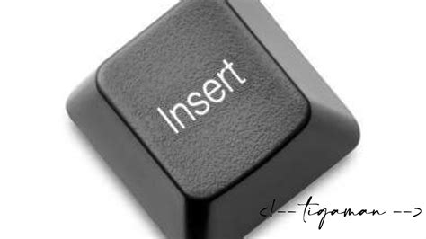Include Page Example Tigaman Wordpress Plugins Themes And Useful